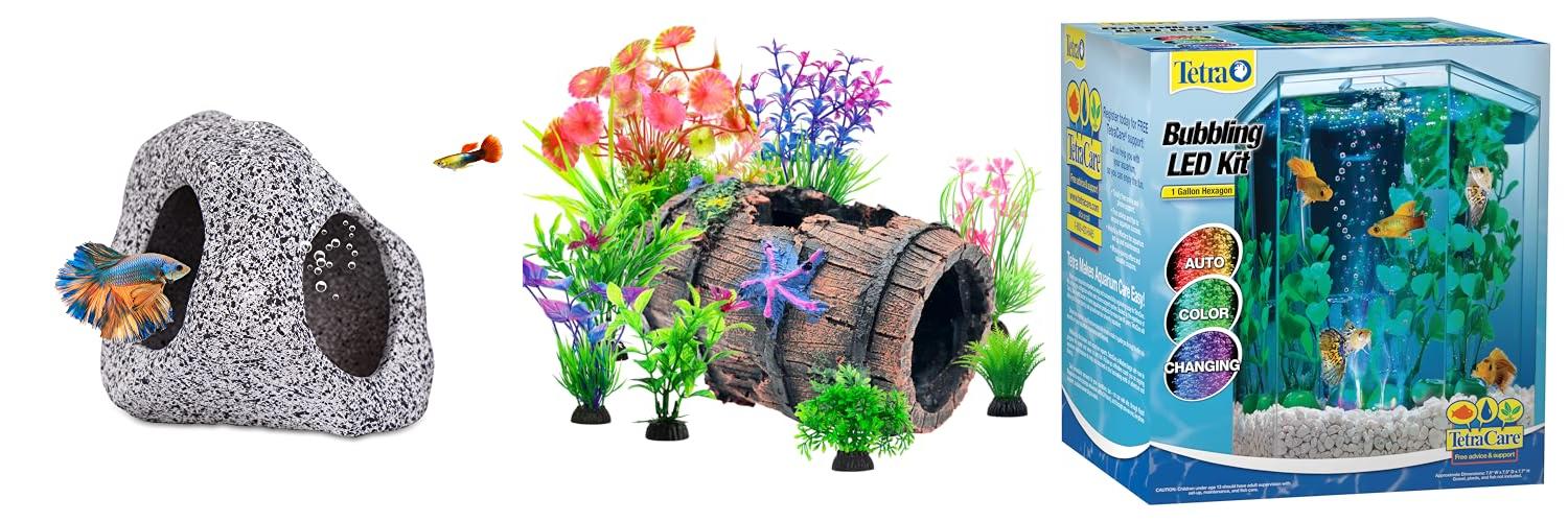 Best Budget Aquarium Fish: Top 5 Picks Reviewed - AnimalsPick