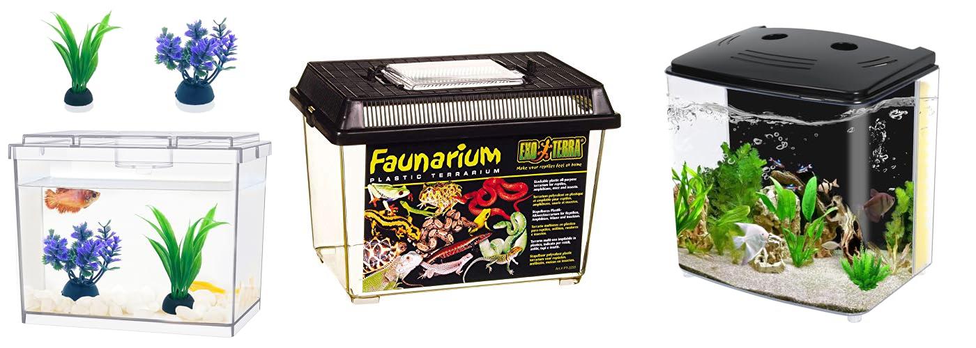 Best Cheap Fish Tank - Top 5 Picks & Review - AnimalsPick