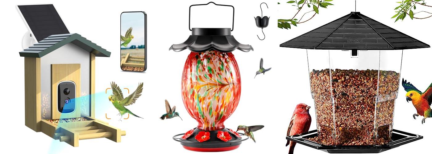 Top 5 Bird Feeder Colors: Attract More Birds Guide - AnimalsPick