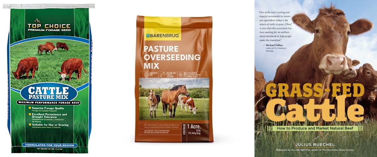 Best Cow Pasture Grass - Top 5 Picks & Review - AnimalsPick