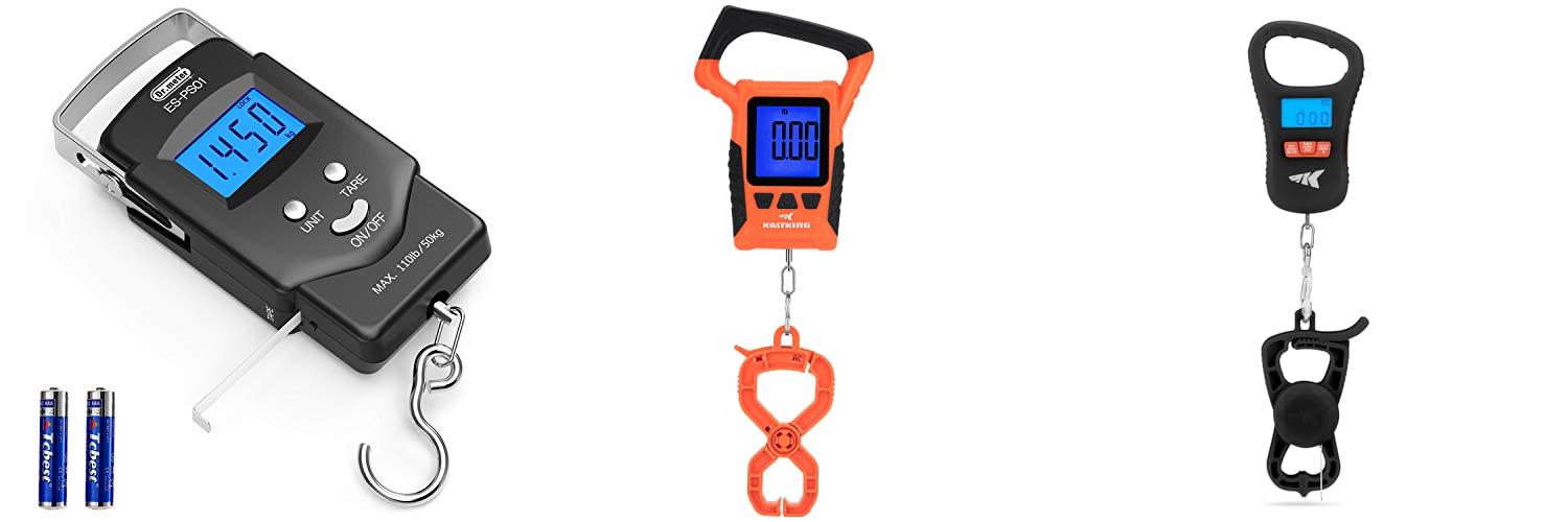 Best Digital Fish Scale - Top 5 Picks & Review - AnimalsPick