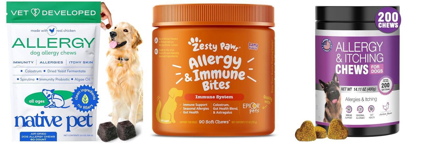 Best Dog Allergy Relief: 5 Must-Try Solutions - AnimalsPick