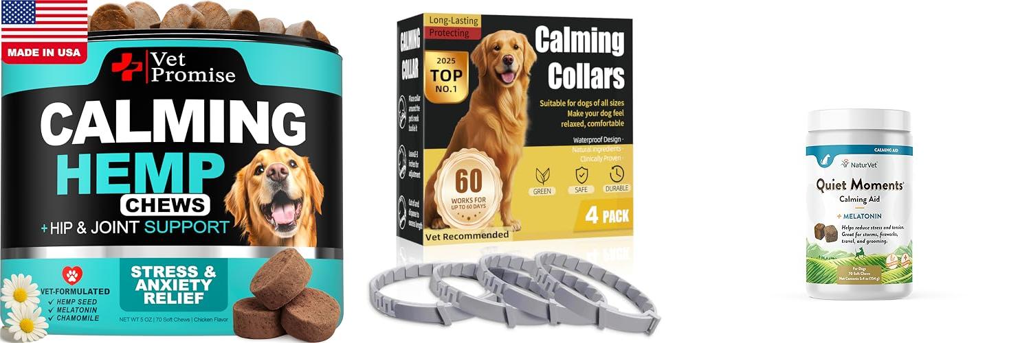 Best Dog Anxiety Relief: 5 Top Picks Reviewed - AnimalsPick