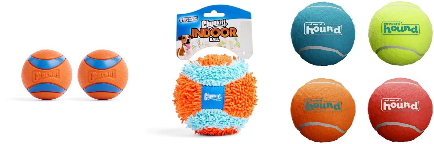 Best Dog Ball Toys - Top 5 Picks & Review - AnimalsPick