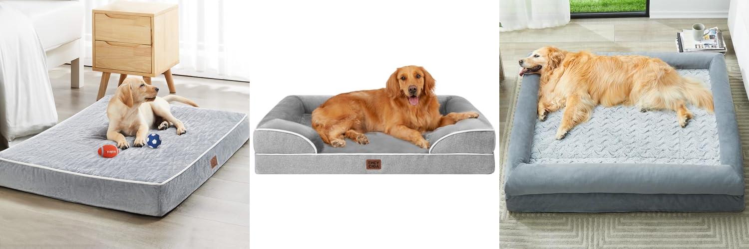 Top 5 Mastiff Beds: Your Ultimate Comfort Guide - AnimalsPick
