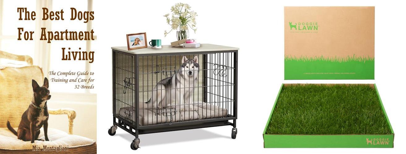 Top 5 Apartment Dog Breeds: Your Essential Guide - AnimalsPick