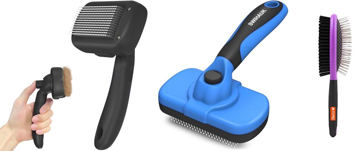 Best Dog Brush For Border Collie - Top 5 Picks & Review - AnimalsPick