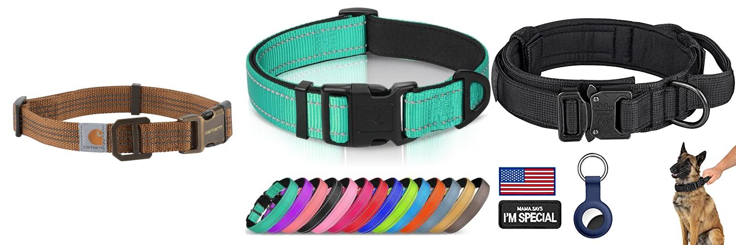 Top 5 Labrador Dog Collars: Best Picks Reviewed - AnimalsPick