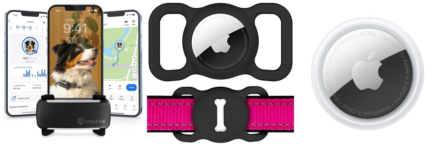 Top 5 Dog Collar Trackers: Find Your Furry Friend - AnimalsPick