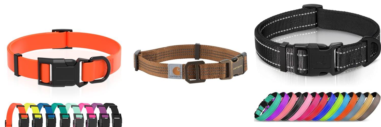 Top 5 Lab Dog Collars: Your Best Buying Guide - AnimalsPick