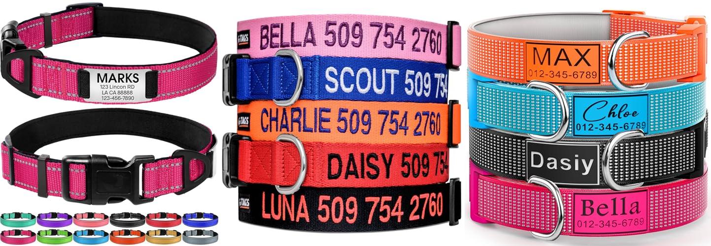 Best Dog Collars With Name Plates - Top 5 Picks & Review - AnimalsPick