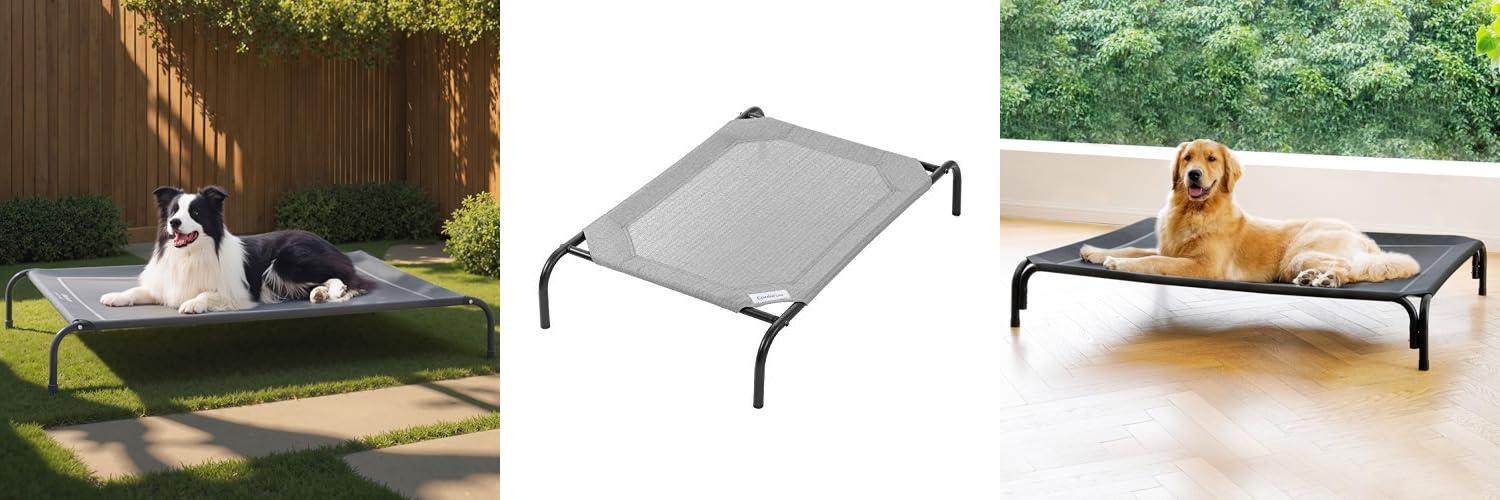 Best Dog Cots - Top 5 Picks & Review - AnimalsPick
