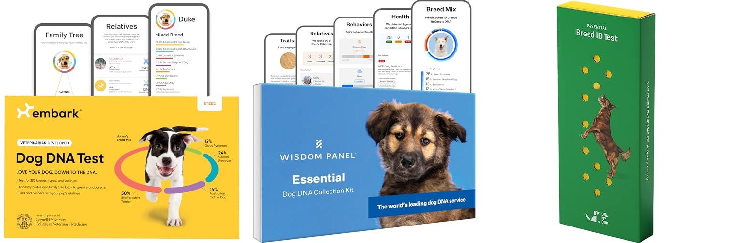 Top 5 Dog DNA Breed Tests: Your Ultimate Guide - AnimalsPick
