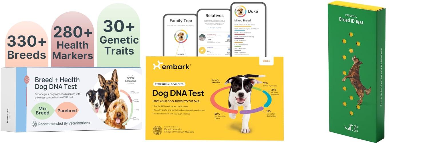 Best Dog Dna Test For Mixed Breeds - Top 5 Picks & Review - AnimalsPick