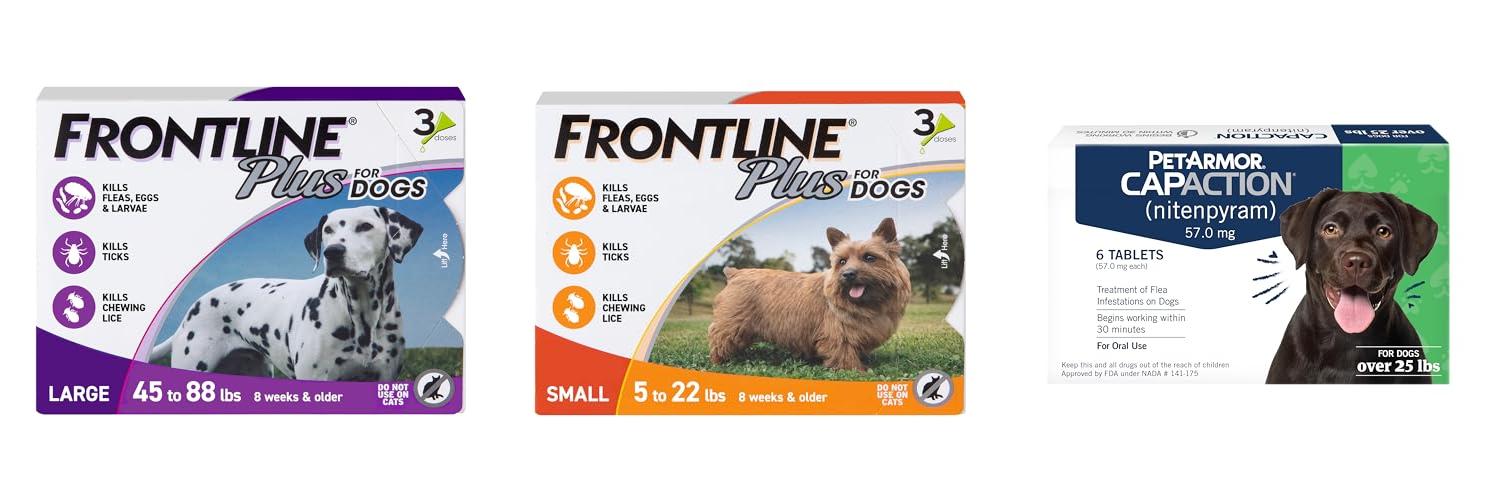 Top 5 Dog Flea & Tick Meds: Your Buying Guide - AnimalsPick