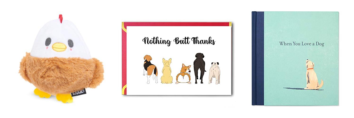 Best Dog For You - Top 5 Picks & Review - AnimalsPick