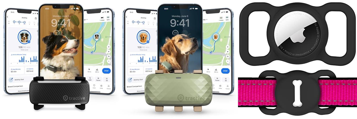Top 5 Dog GPS Tracking Collars: Your Essential Guide - AnimalsPick