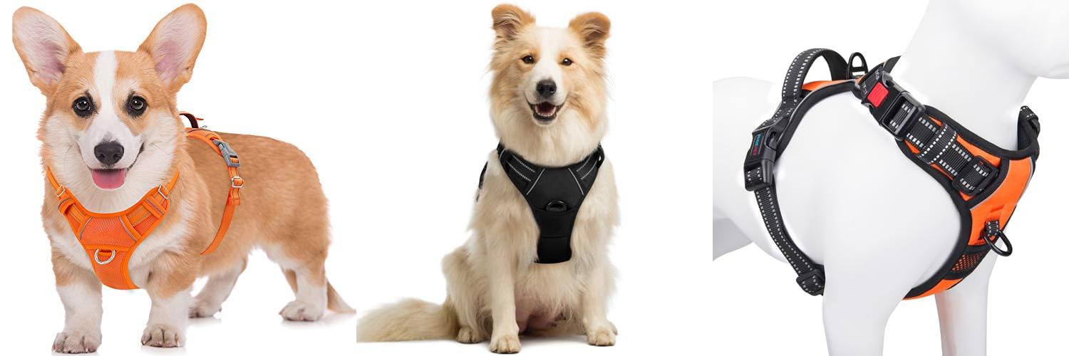 Top 5 Corgi Dog Harness Reviews: Find the Best Fit - AnimalsPick