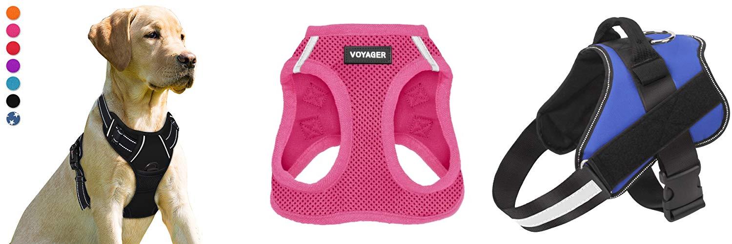 Best Dog Harness Made In Usa - Top 5 Picks & Review - AnimalsPick