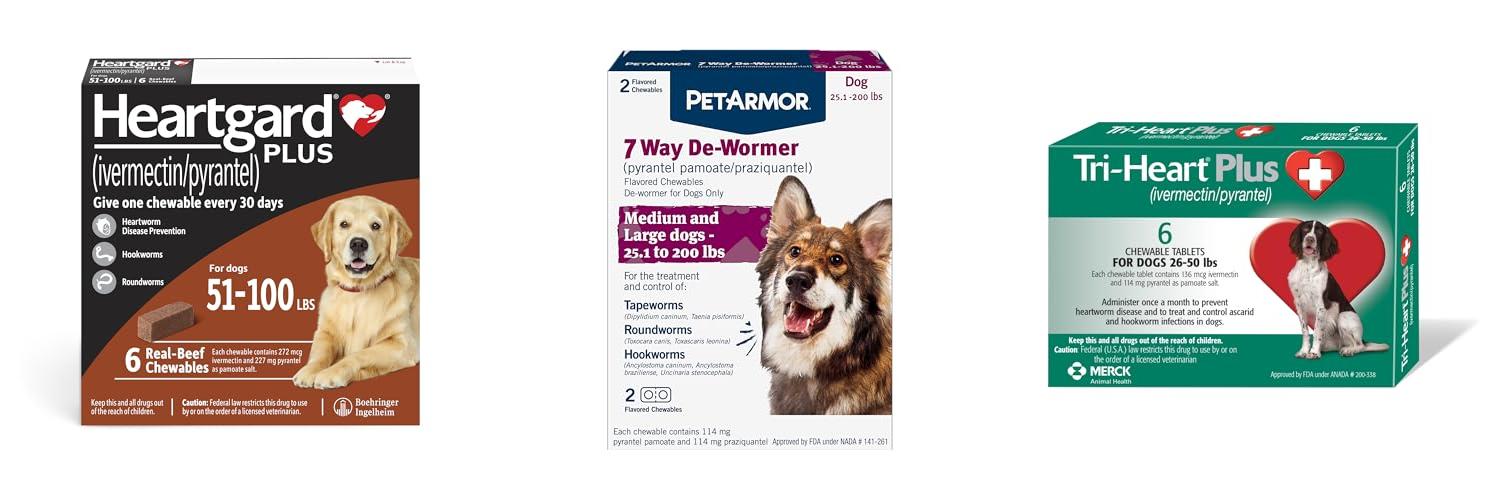 Best Dog Heartworm Prevention - Top 5 Picks & Review - AnimalsPick