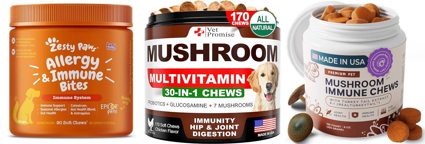 Top 5 Dog Immune Booster: Your Essential Guide - AnimalsPick