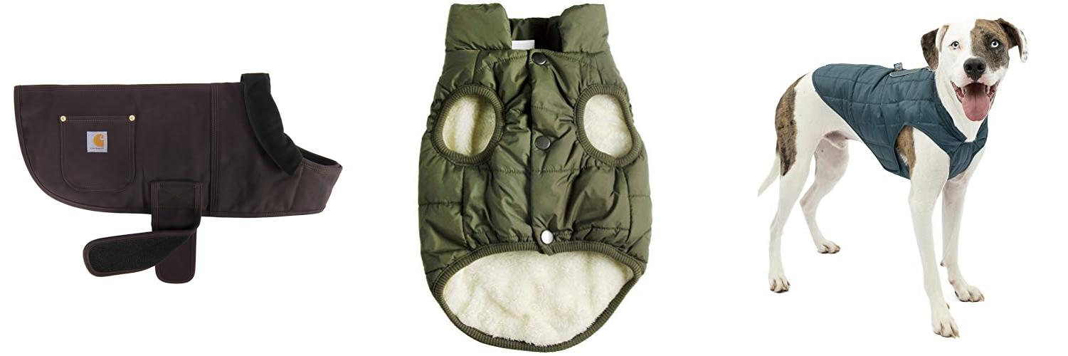 - Top 5 Dog Jackets: Cozy Winter Warmth Guide (52 chars) - AnimalsPick