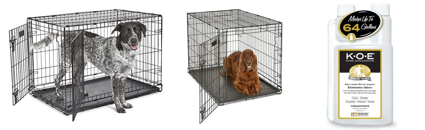 Best Dog Kennels For Home - Top 5 Picks & Review - AnimalsPick
