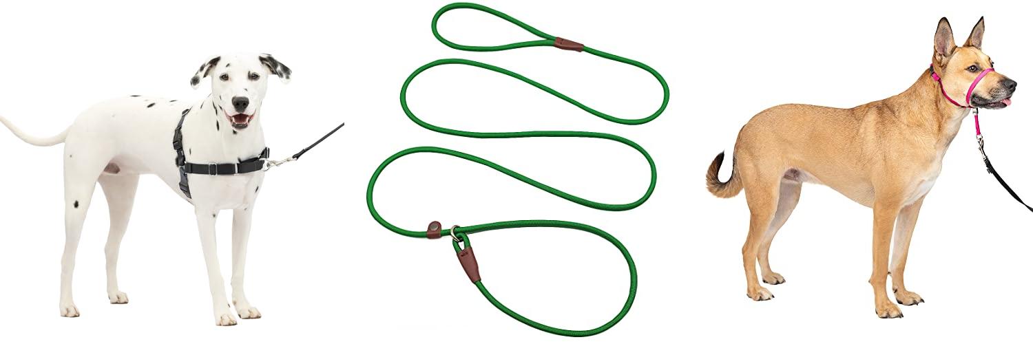 Best Dog Leads For Dogs That Pull - Top 5 Picks & Review - AnimalsPick