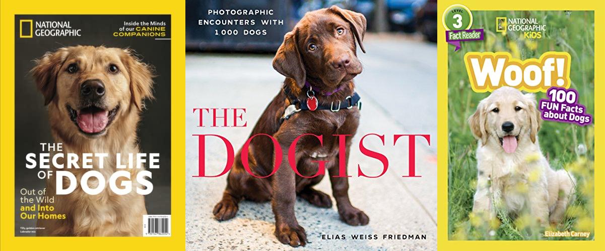 Top 5 Dog Magazines: Essential Guide for Owners - AnimalsPick