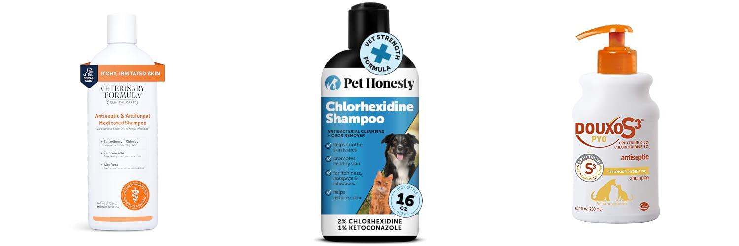Best Medicated Dog Shampoo: Top 5 Picks Reviewed - AnimalsPick