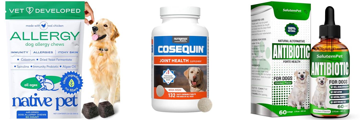 Top 5 Dog Medicine: Your Essential Buying Guide - AnimalsPick