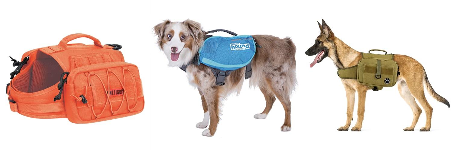 Best Dog Packs - Top 5 Picks & Review - AnimalsPick
