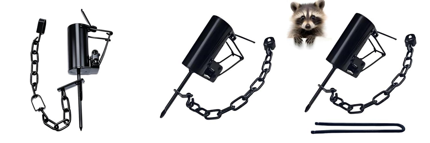 Best Dog Proof Coon Trap - Top 5 Picks & Review - AnimalsPick
