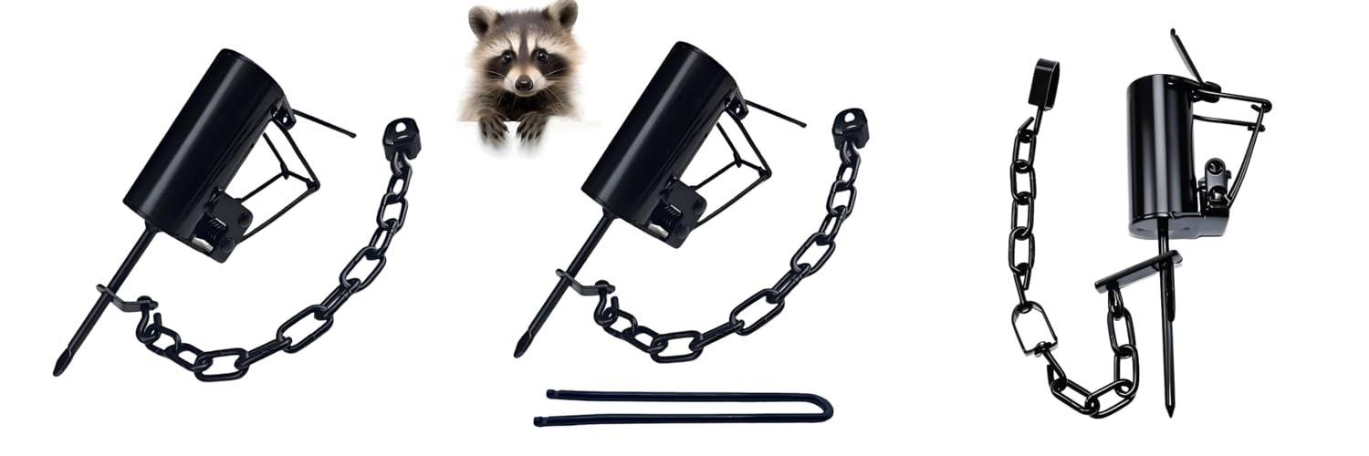 Top 5 Dog Proof Coon Traps: Your Buying Guide - AnimalsPick