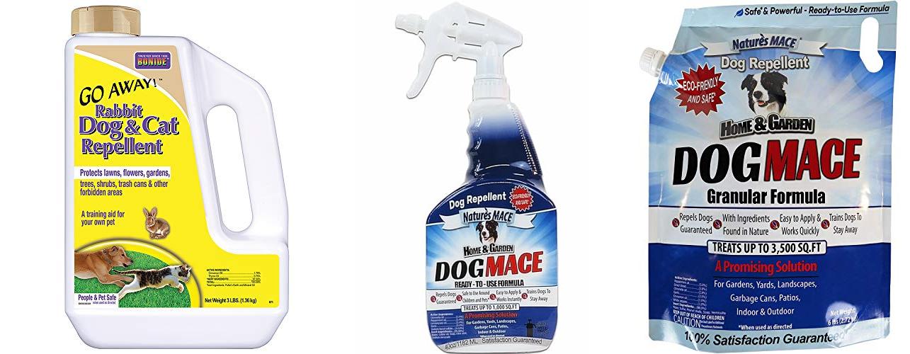 Top 5 Dog Repellent For Lawn: Your Ultimate Guide - AnimalsPick