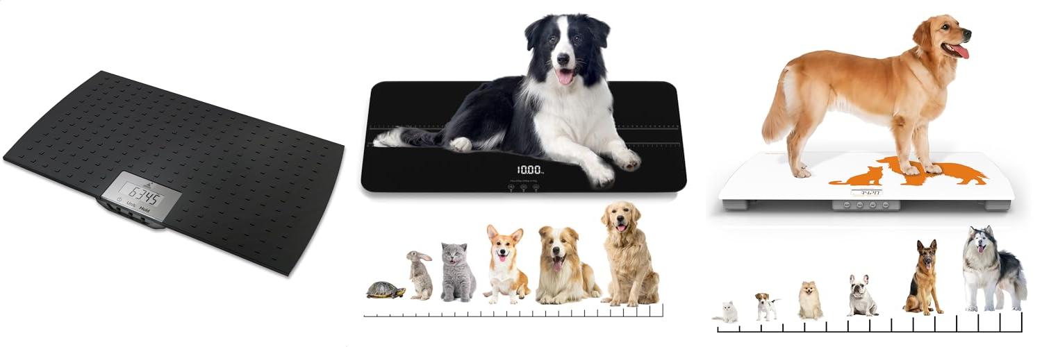 Best Dog Scales - Top 5 Picks & Review - AnimalsPick