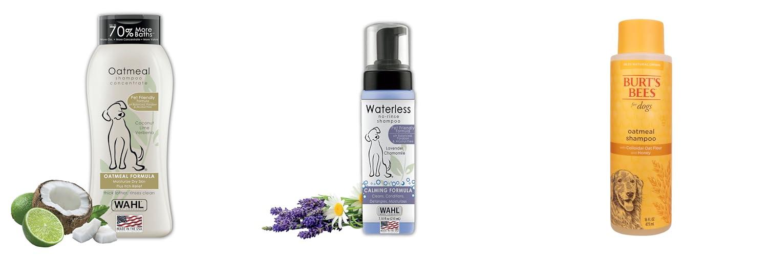 Best Dog Shampoo At Walmart - Top 5 Picks & Review - AnimalsPick
