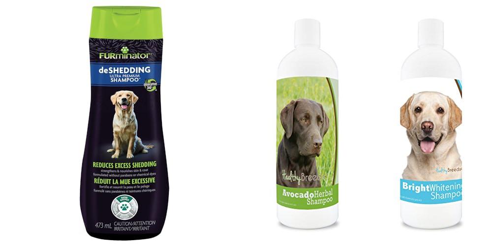 Best Labrador Retriever Shampoos: Top 5 Picks - AnimalsPick
