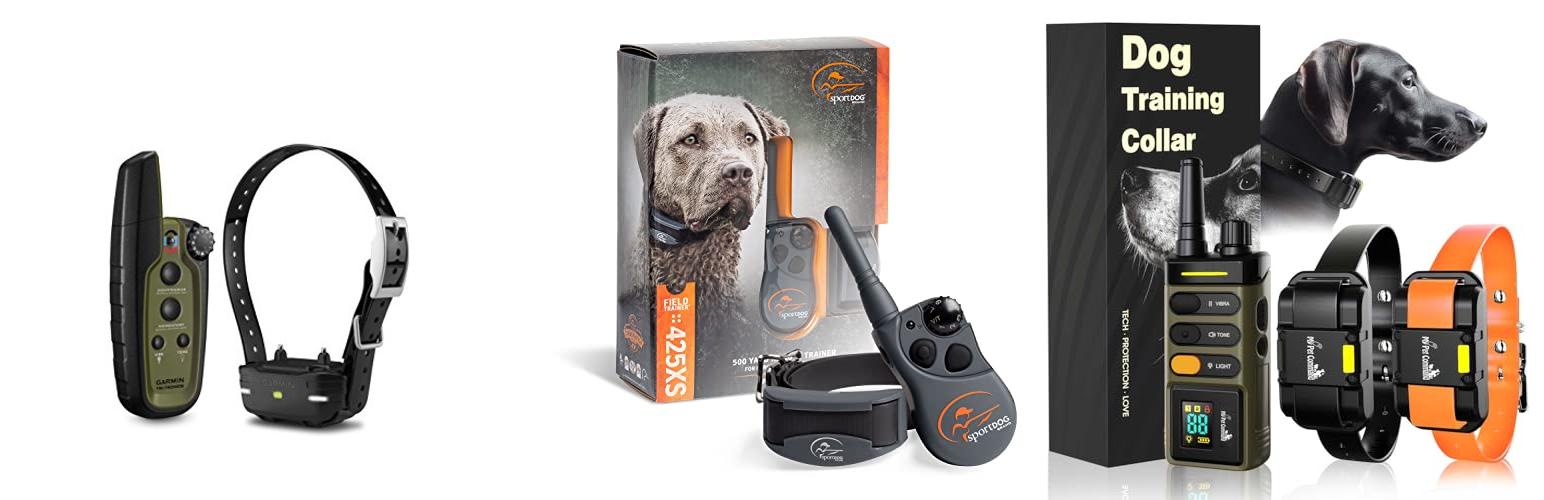 Best Dog Shock Collar For Hunting - Top 5 Picks & Review - AnimalsPick