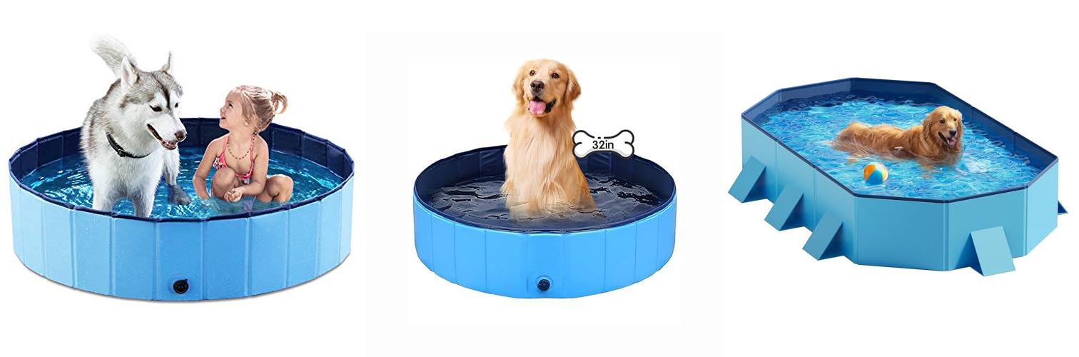 Best Dog Swimming Pools: Our Top 5 Picks Reviewed - AnimalsPick
