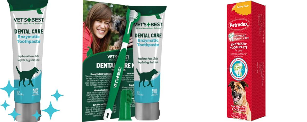 Top 5 Dog Toothpaste for Plaque & Tartar Removal - AnimalsPick