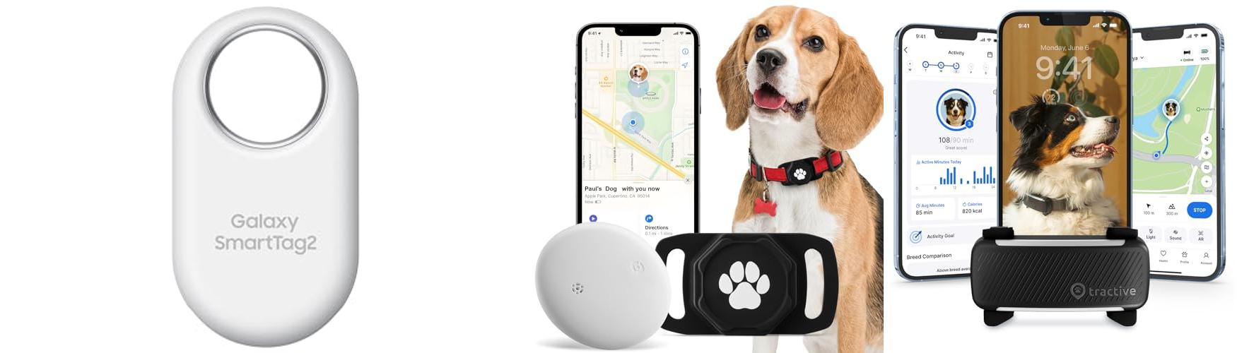 Top 5 Dog Tracker Devices: Your Ultimate Buying Guide - AnimalsPick