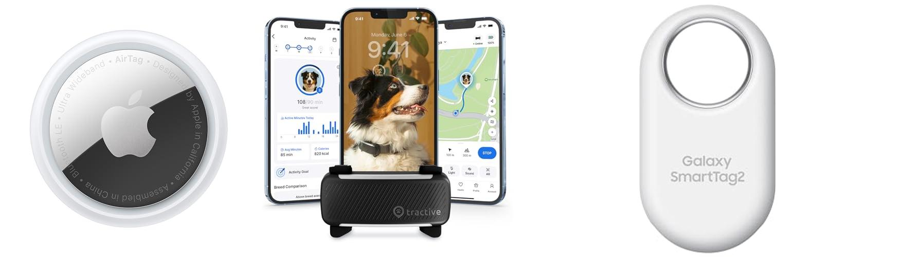Top 5 Dog Trackers: Keep Your Pup Safe & Found - AnimalsPick