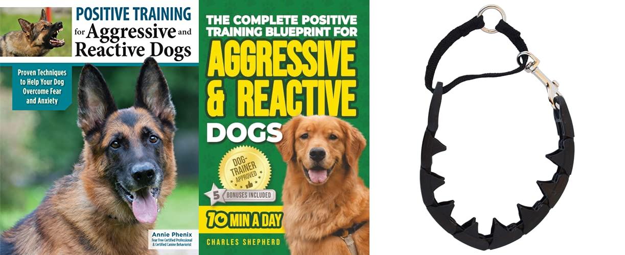 Top 5 Aggressive Dog Training: Your Essential Guide - AnimalsPick
