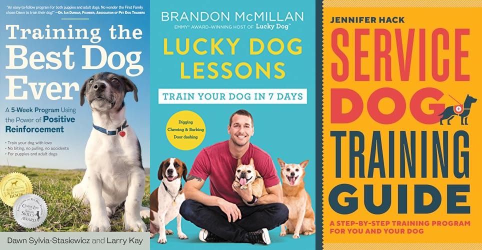 Top 5 Dog Training Program Reviews: Find Your Best Fit - AnimalsPick