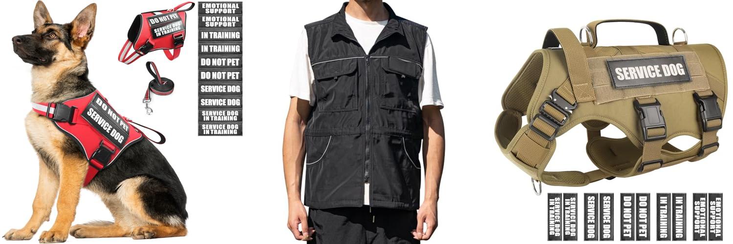 Top 5 Dog Training Vests: Your Essential Guide - AnimalsPick