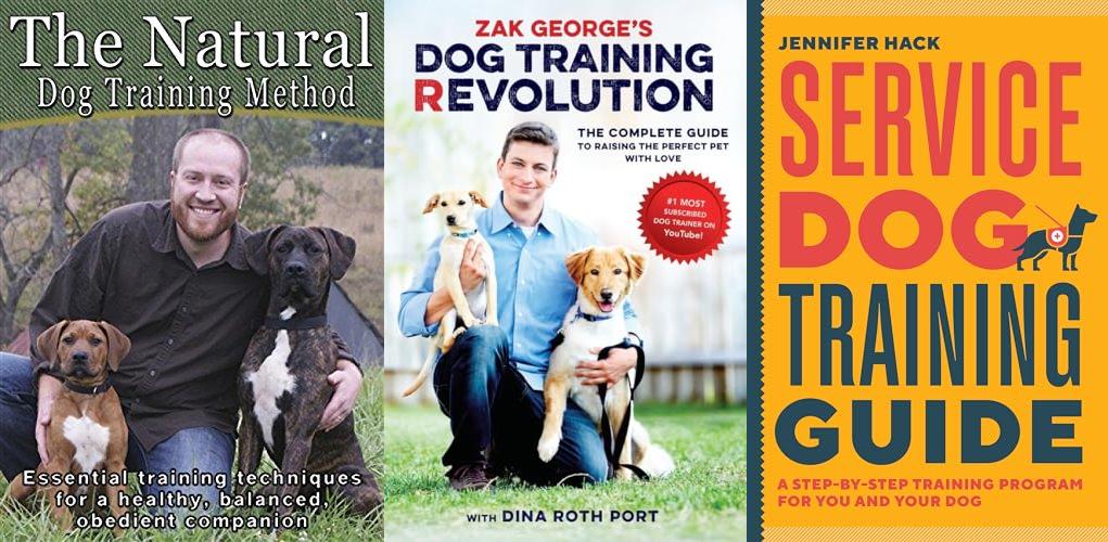 Top 5 Dog Training Videos: Your Essential Guide - AnimalsPick