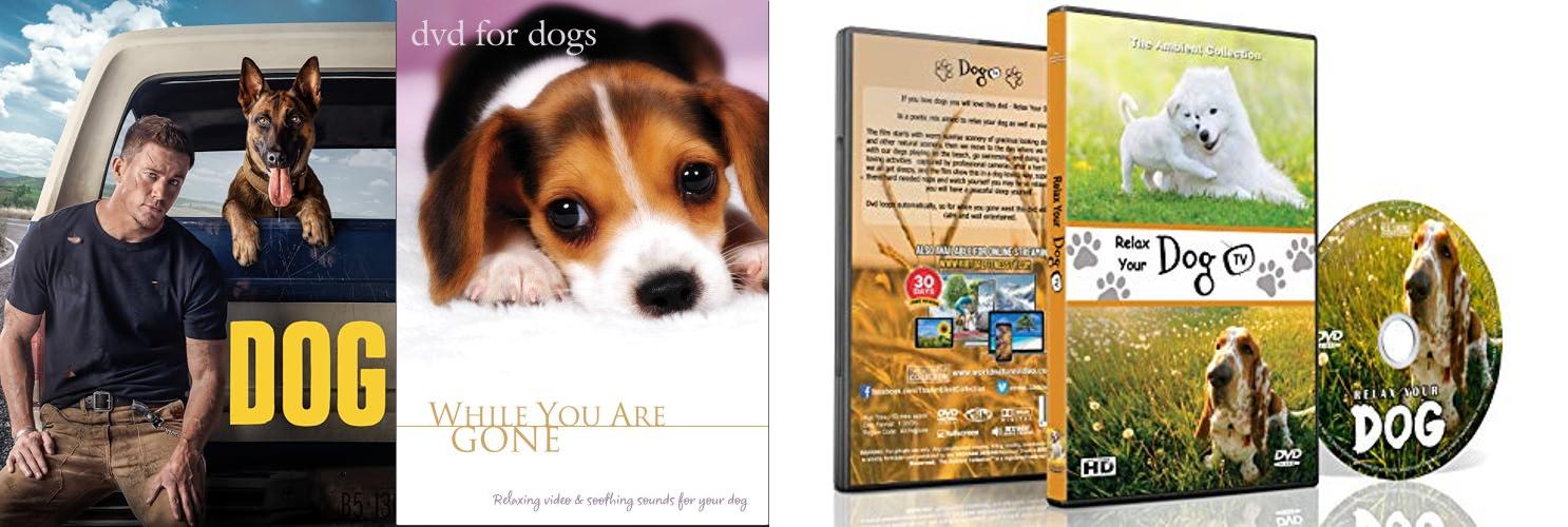 Best Dog Videos - Top 5 Picks & Review - AnimalsPick