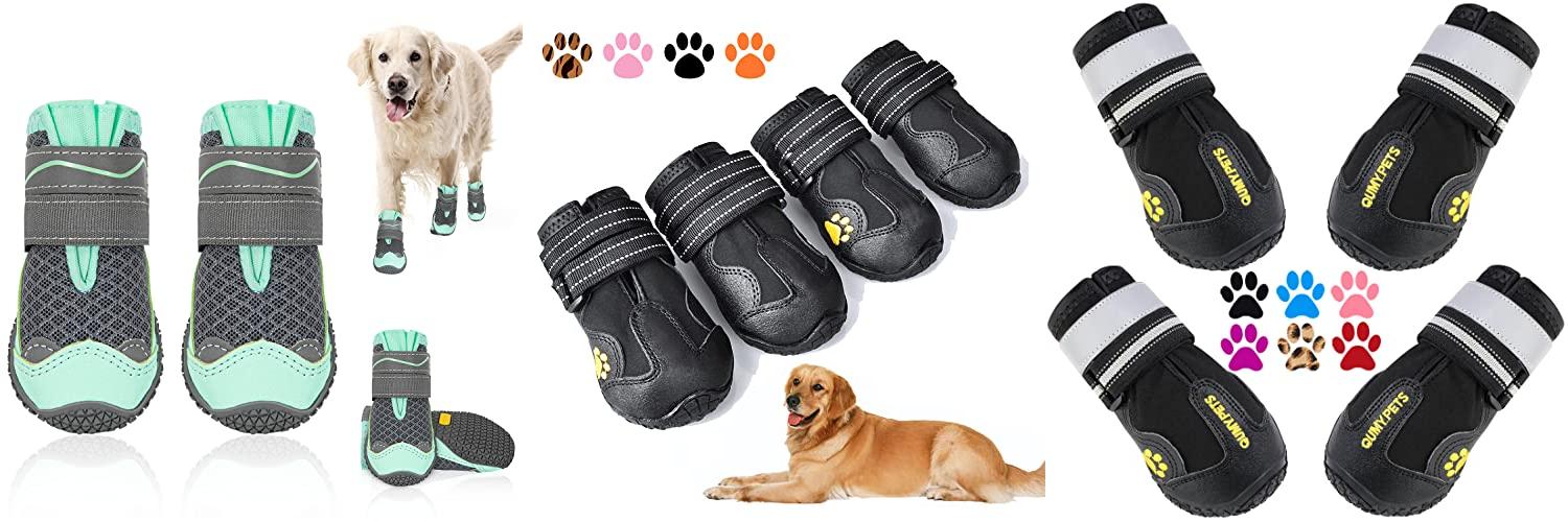 Top 5 Dog Winter Booties: Your Cold Paw Guide - AnimalsPick