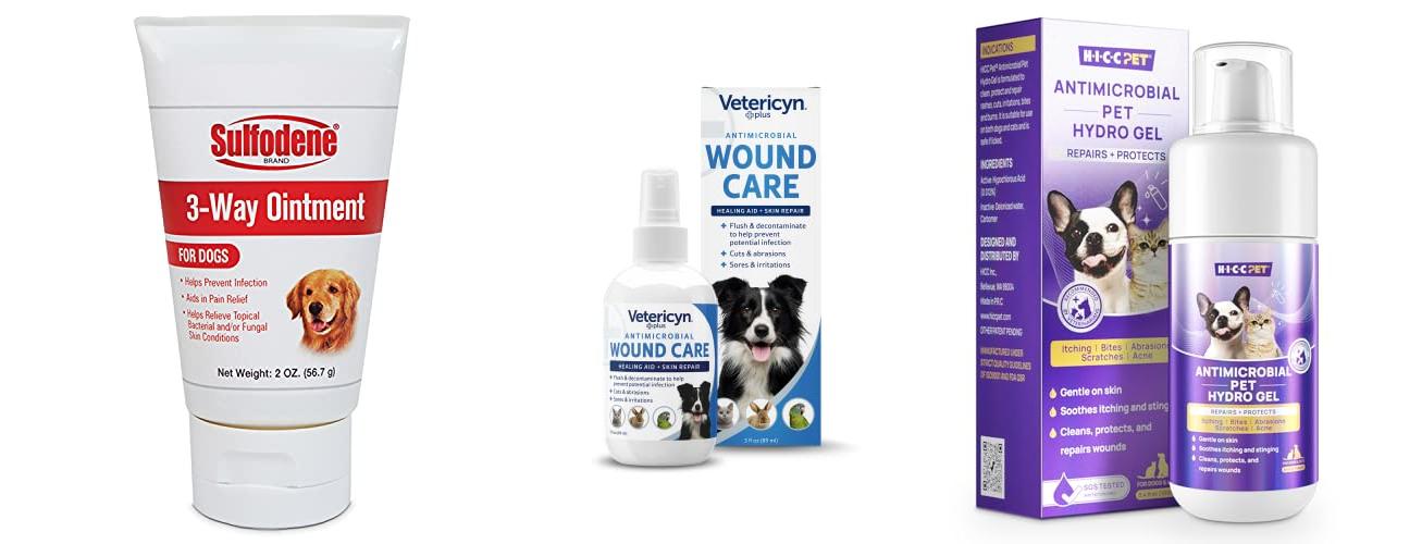 Top 5 Dog Wound Treatments: Your Essential Guide - AnimalsPick
